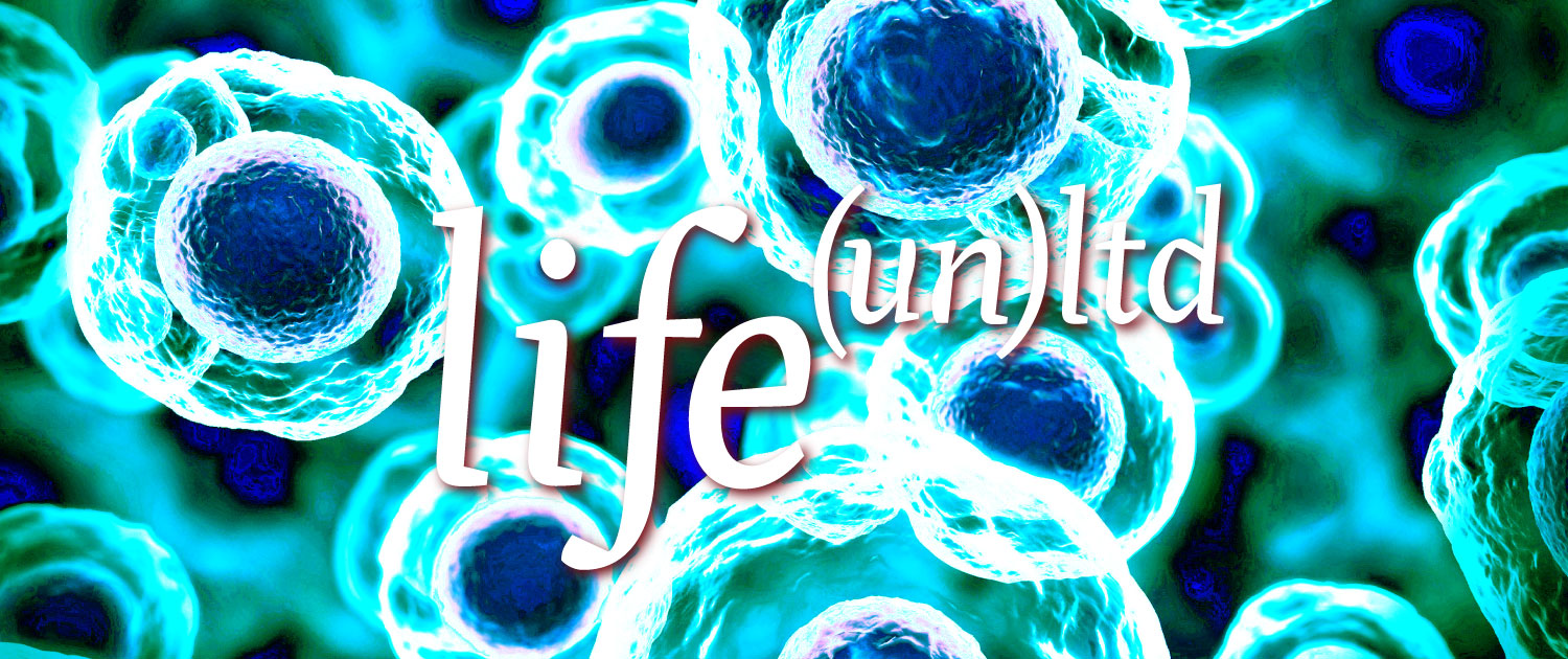 Life (Un)Ltd - Center for the Study of Women